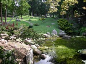 31. Eliyahu, of Tishbe, of Gilead – Log and Speck